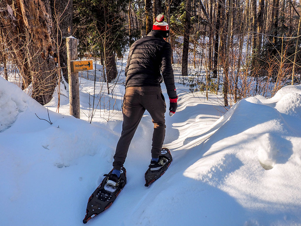 6 Fun winter activities that will get you through the season | The ...